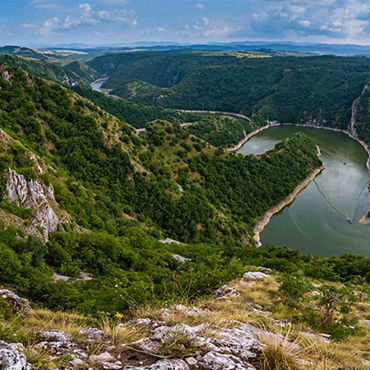 Yields poised to increase as global competition for capital endures